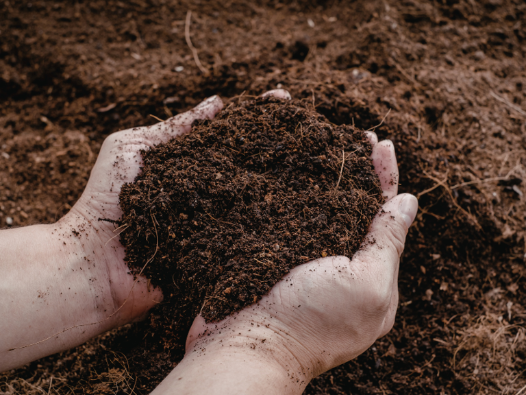 Boost Your Raised Garden Bed Naturally: Secrets to Health Soil