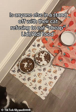You're feeding your cat wrong! Experts reveal why felines leave so much ...