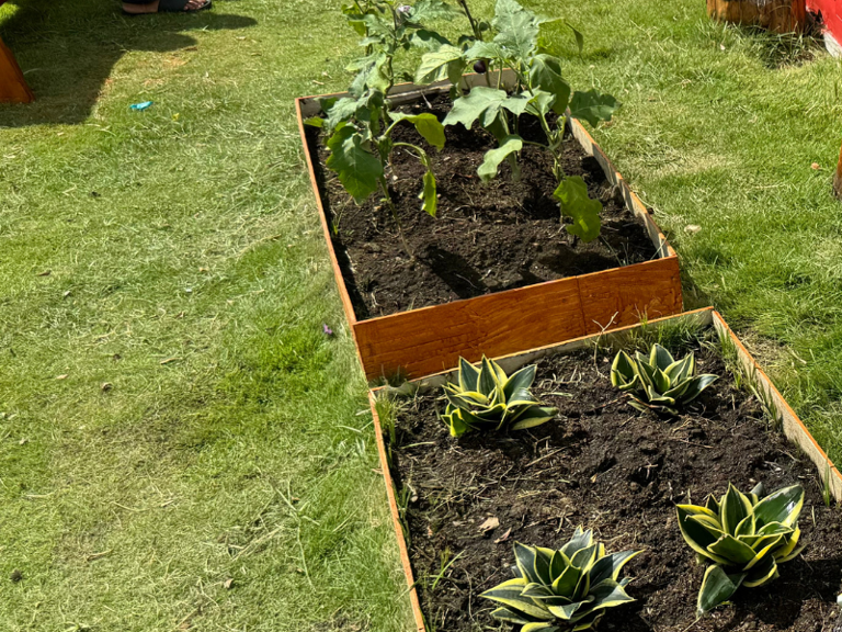 Boost Your Raised Garden Bed Naturally: Secrets to Health Soil
