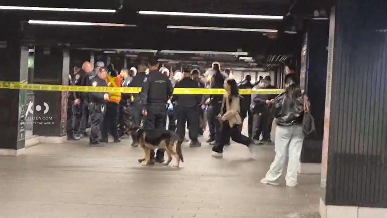 Attacker shot after stabbing three people with machete in Grand Central ...