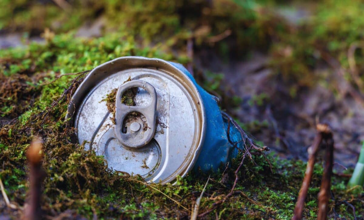 Two hikers found a simple aluminum can in the woods filled with nearly ...