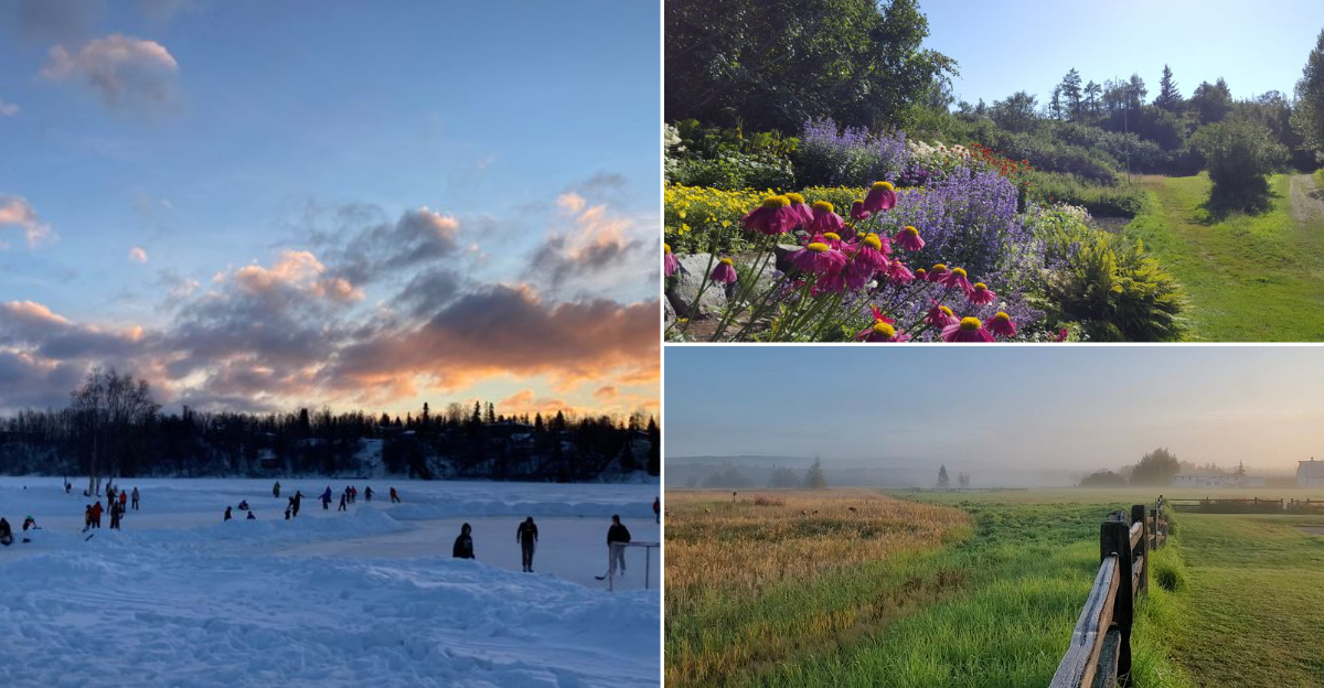 What only locals in Alaska understand about endless summer days