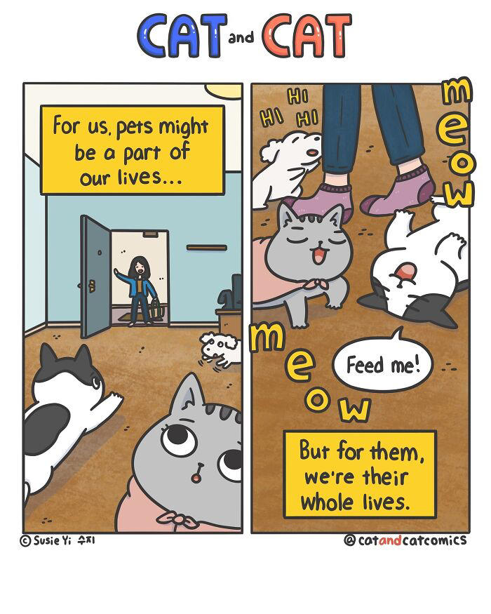 24 funny and wholesome comics about the secret life of cats