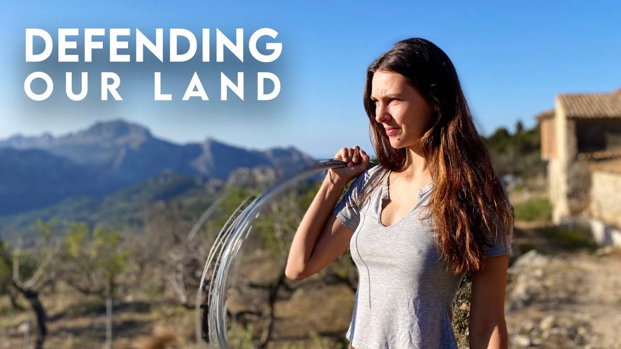 Creating our off-grid paradise in the mountains