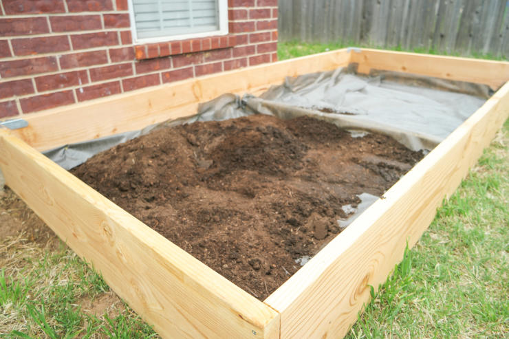 Boost Your Raised Garden Bed Naturally: Secrets to Health Soil