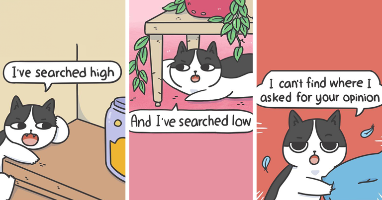 24 funny and wholesome comics about the secret life of cats