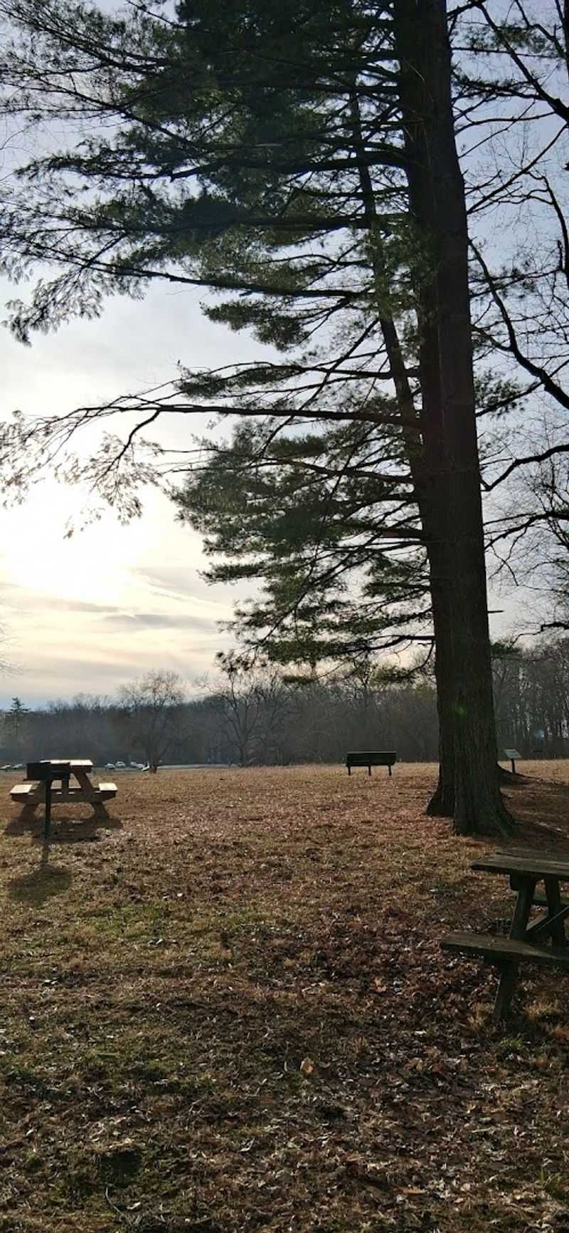 This easy Indiana hike wraps around four ancient ceremonial earthworks ...