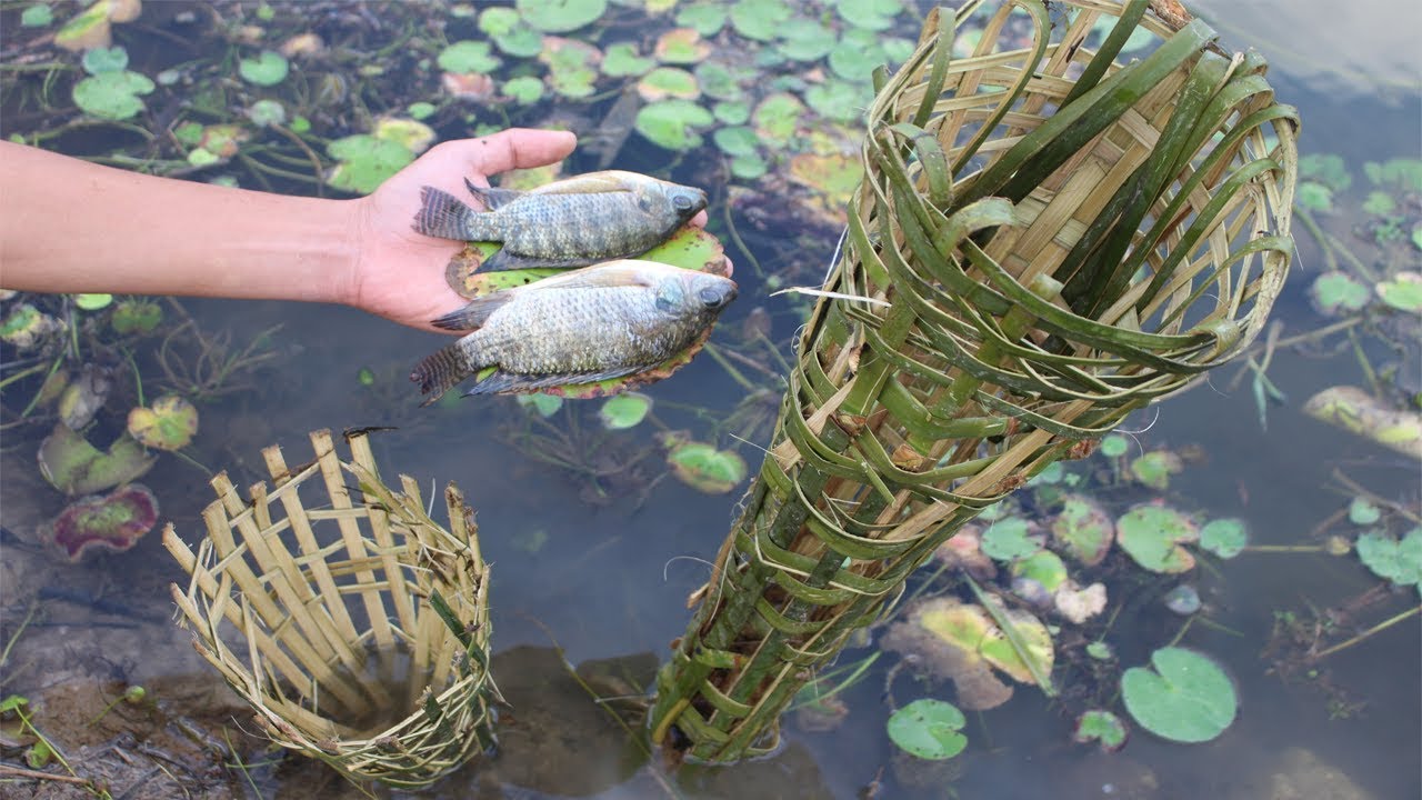 Primitive fishing trap techniques