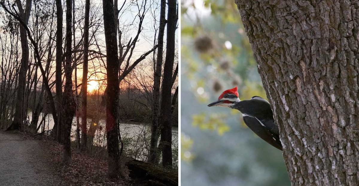 This easy Indiana hike wraps around four ancient ceremonial earthworks ...