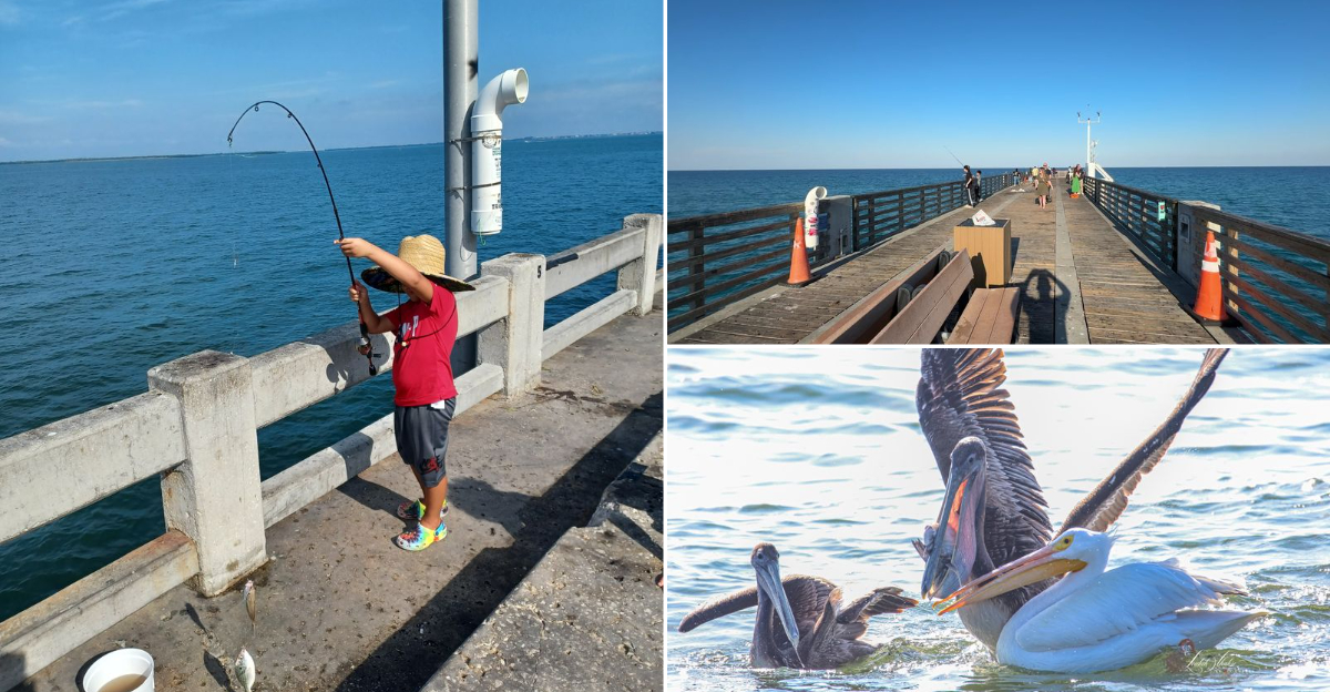 How night fishing rules in Florida catch tourists off guard