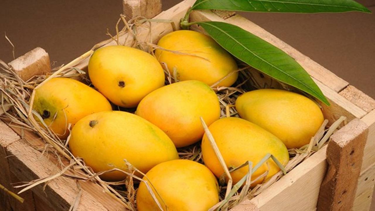 Which city is called the mango capital of the world? Check here to know