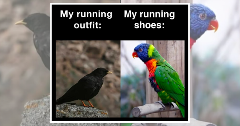 22+ running memes for runners chasing dopamine around the block
