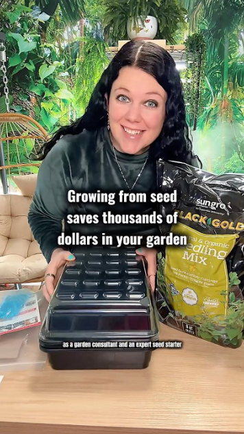 New to gardening? Start seeds the right way