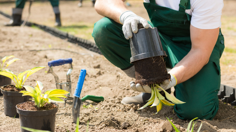 Keep plastic nursery pots out of the trash with this simple recycling tip
