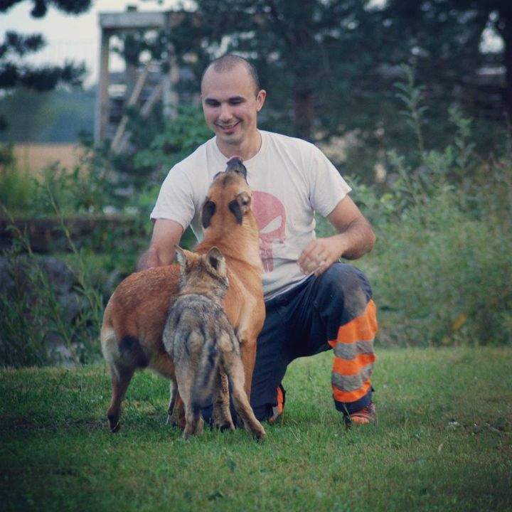 He found a hurt moose calf - she came back