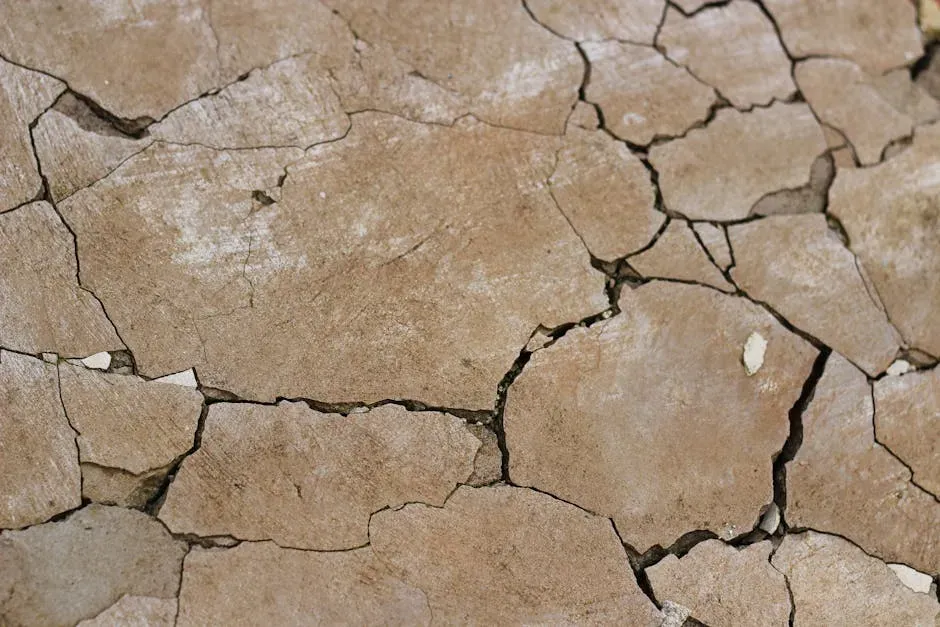 11 warning signs scientists track before major earthquakes