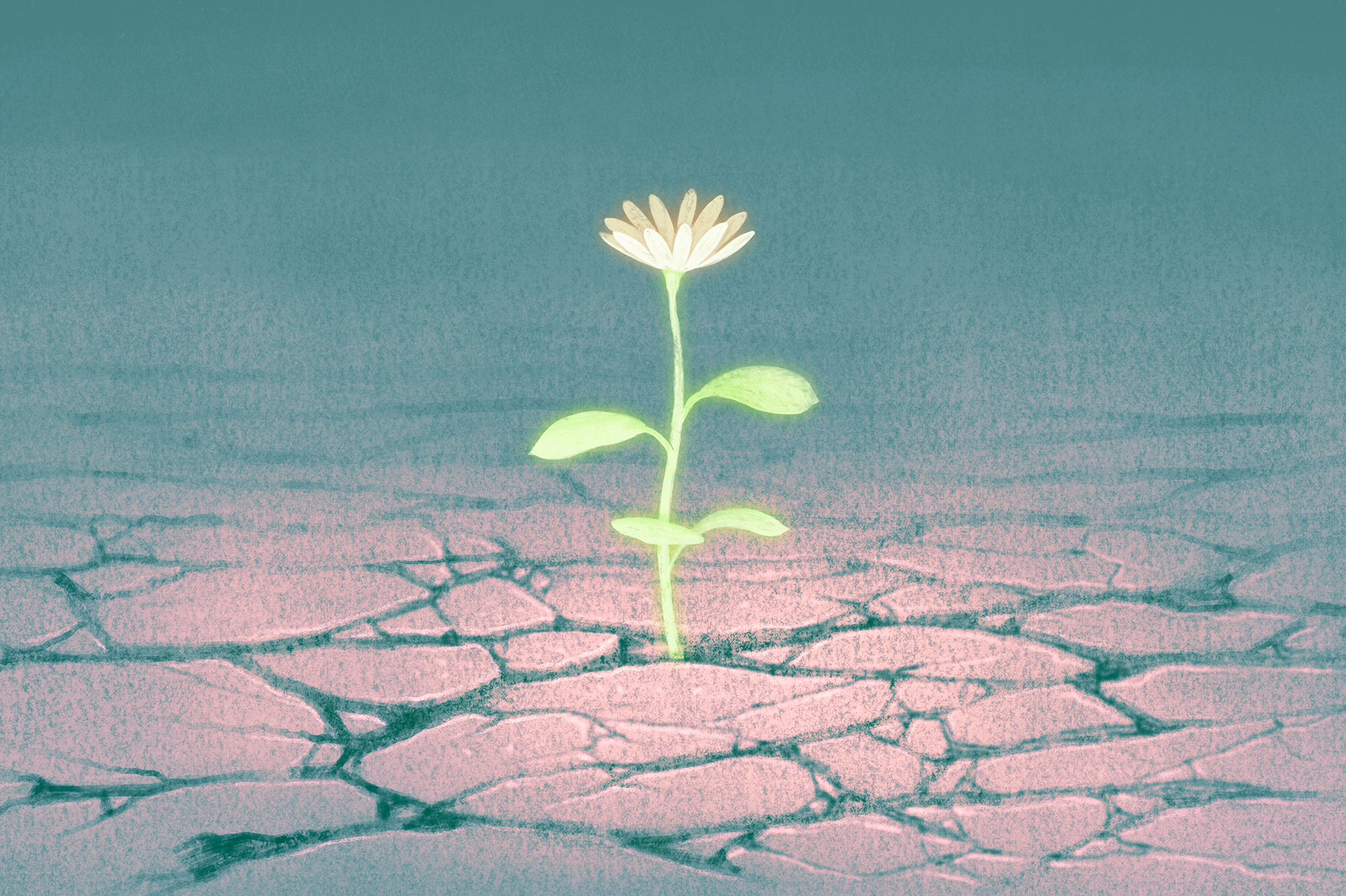 Hope vs. optimism, explained