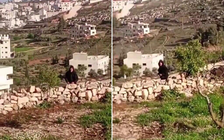 Reservist soldier fatally shoots Palestinian amid alleged rock-throwing ...