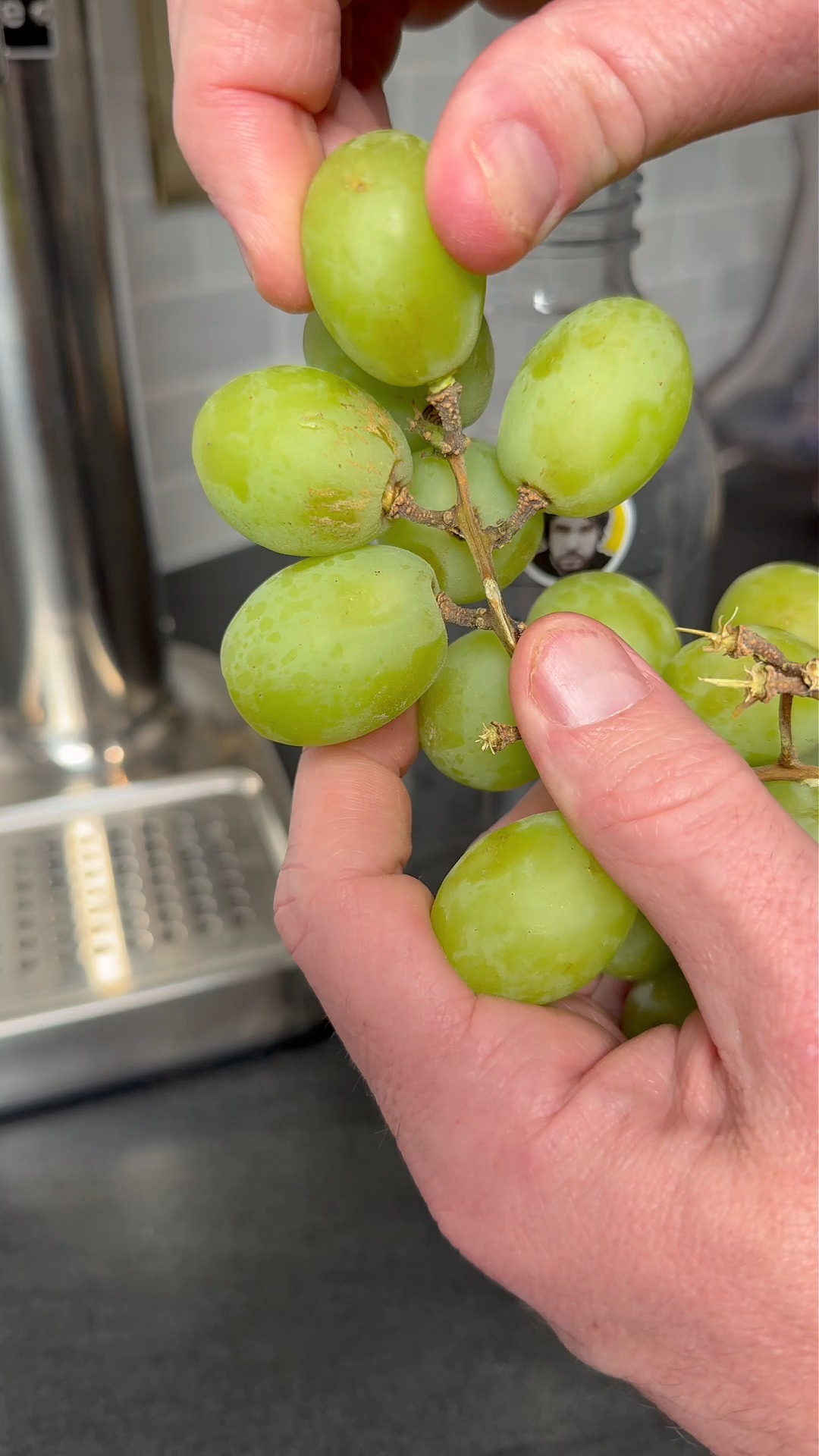 Fizzy grapes experiment