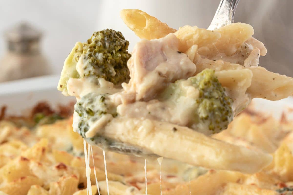15 easy pasta recipes for cozy family dinners
