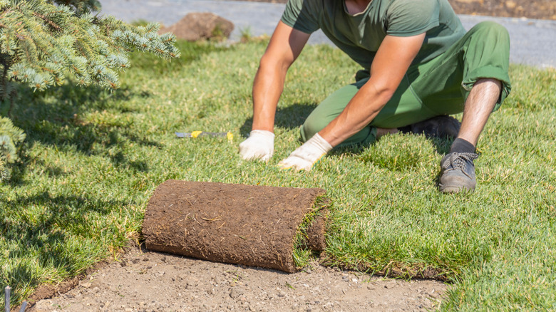 Sod installation mistakes everyone makes & how to avoid them