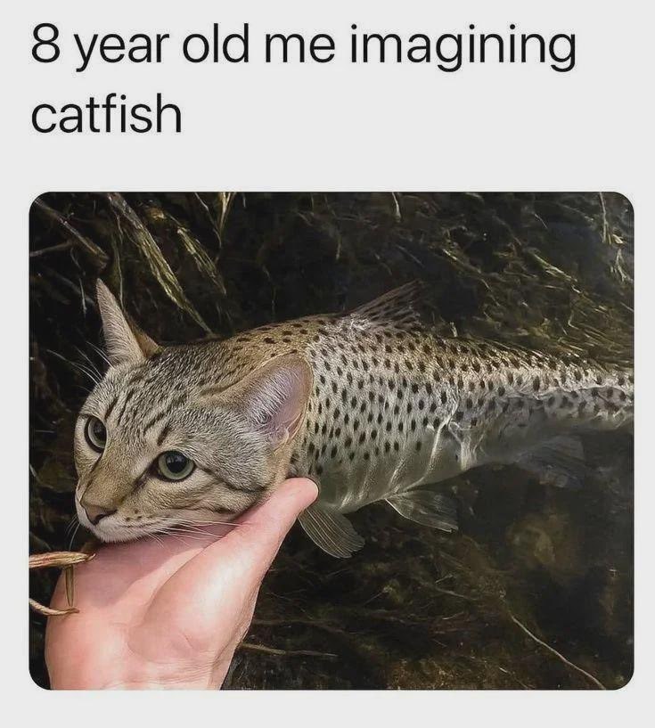 A school of 22 fish funnies for your daily dilly dally deep dive