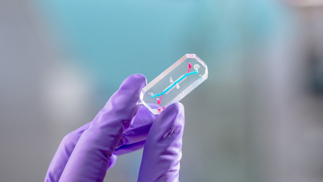 Artemis II brings back astronaut organ chips after deep-space test
