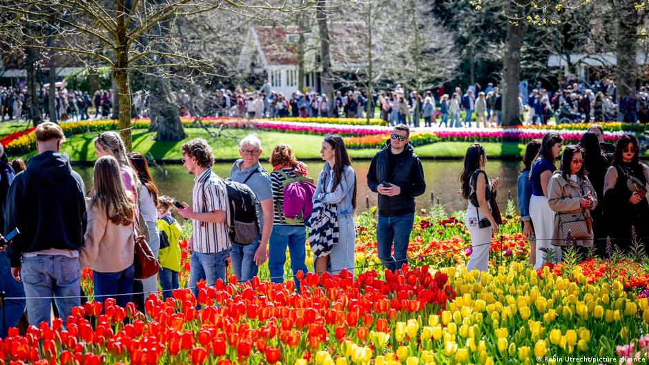 The Netherlands in the grip of tulip fever