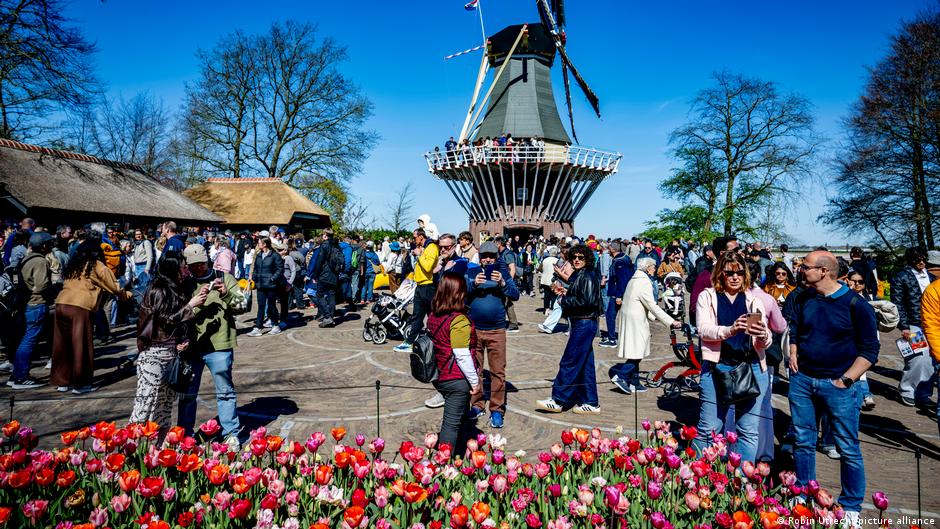 The Netherlands in the grip of tulip fever