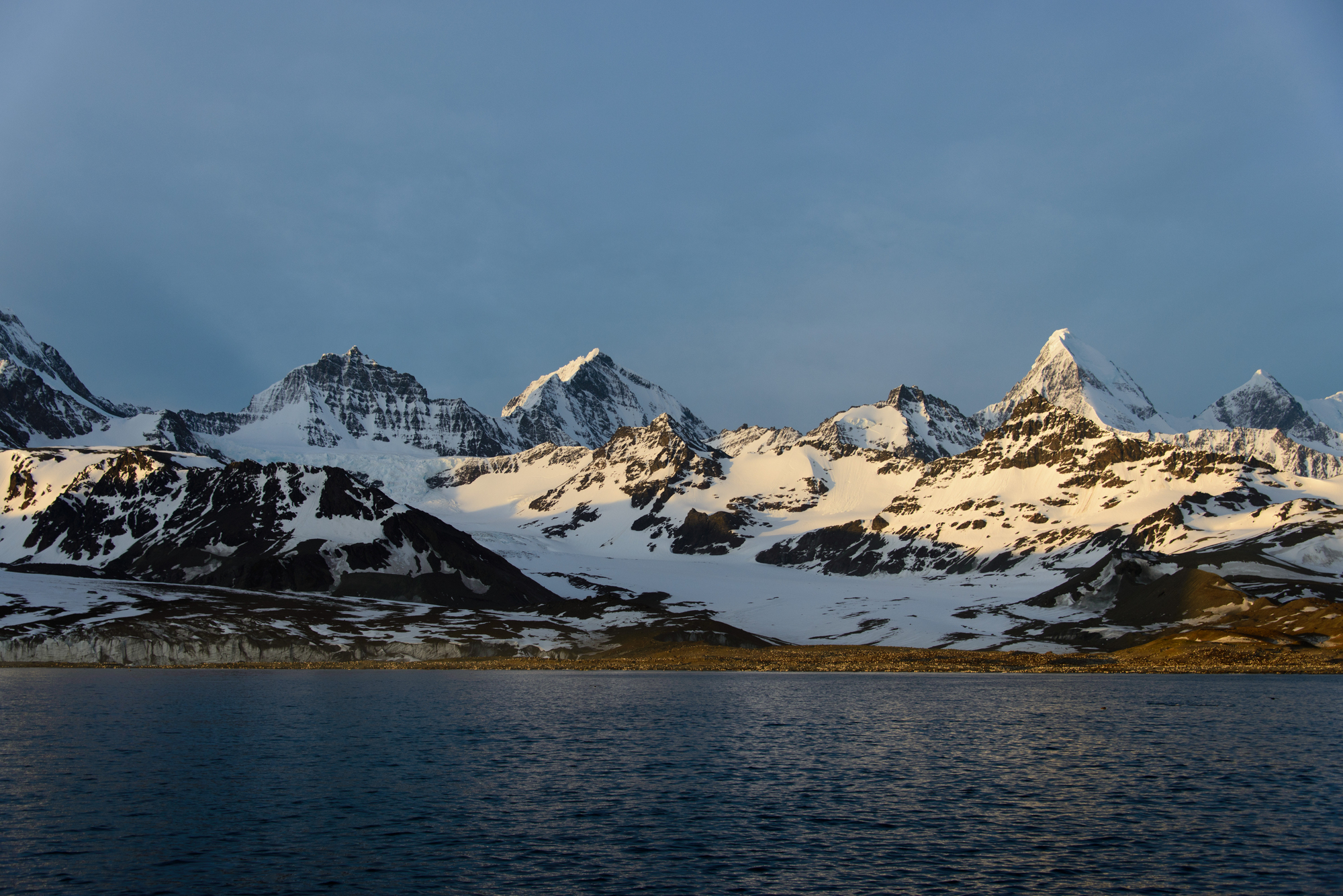 Weird things discovered frozen deep in Antarctica