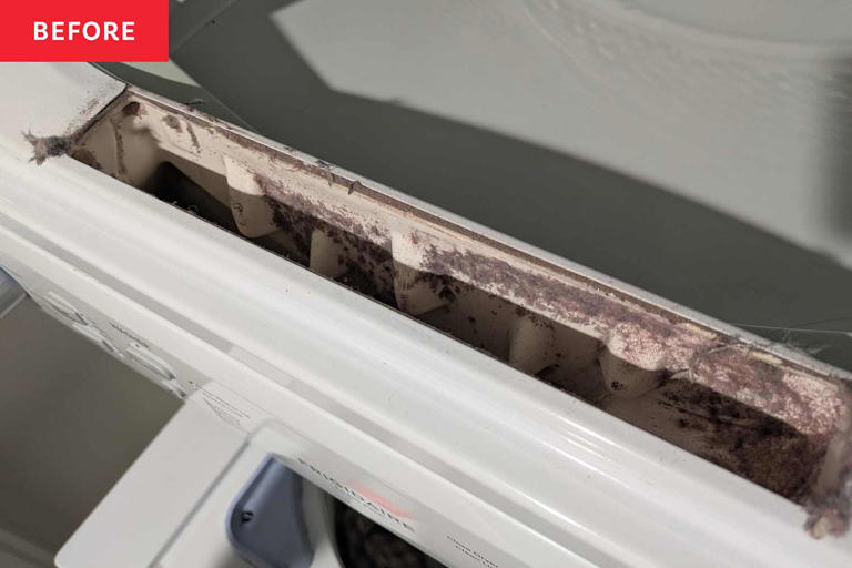 I used the vacuum paper towel tube hack to clean my dryer lint trap