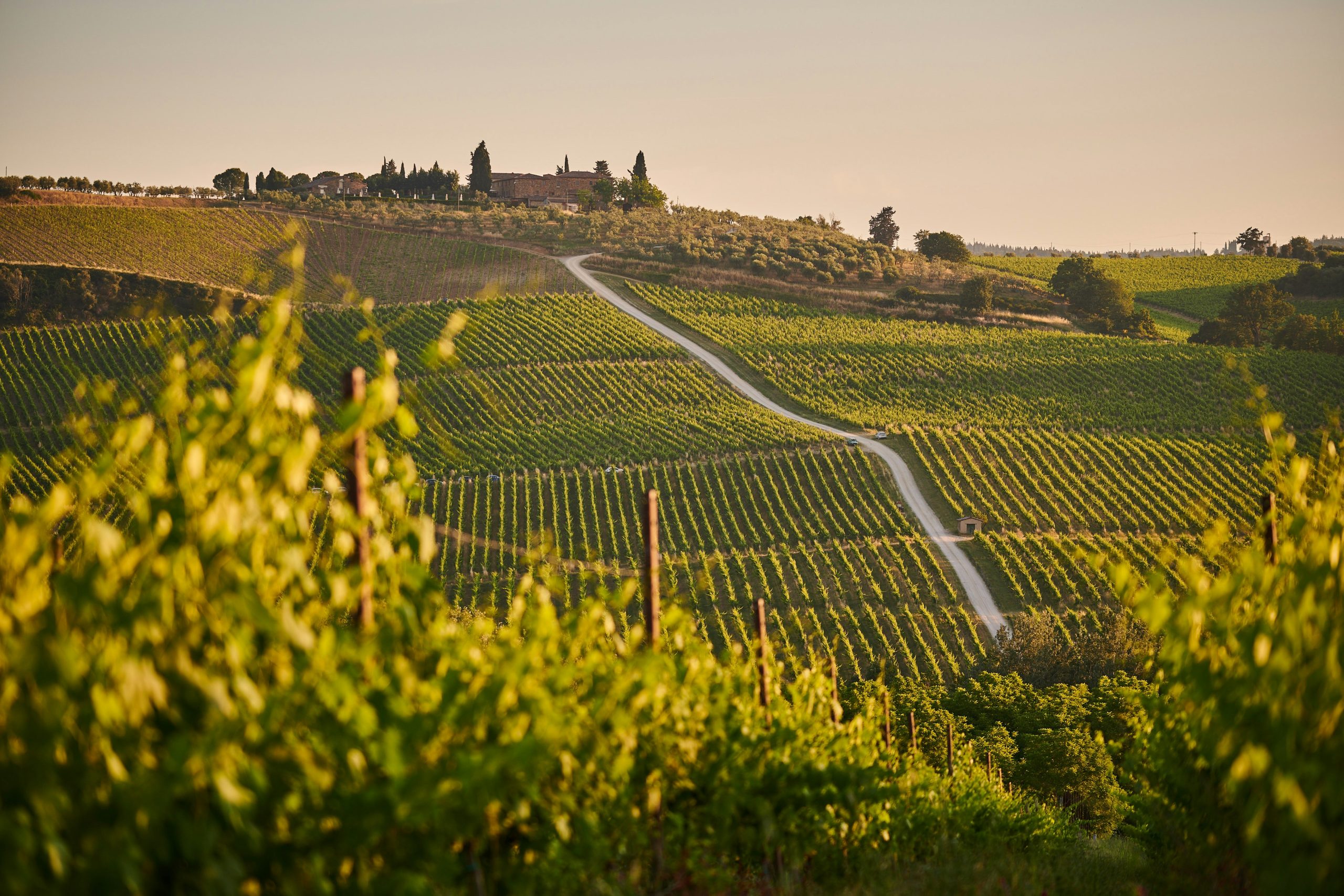 15 epic wine tasting routes worth driving in Italy