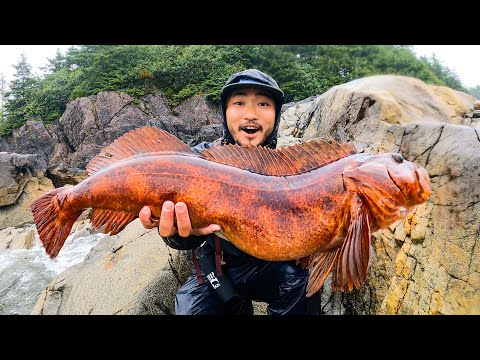 Greatest catch and cook ever