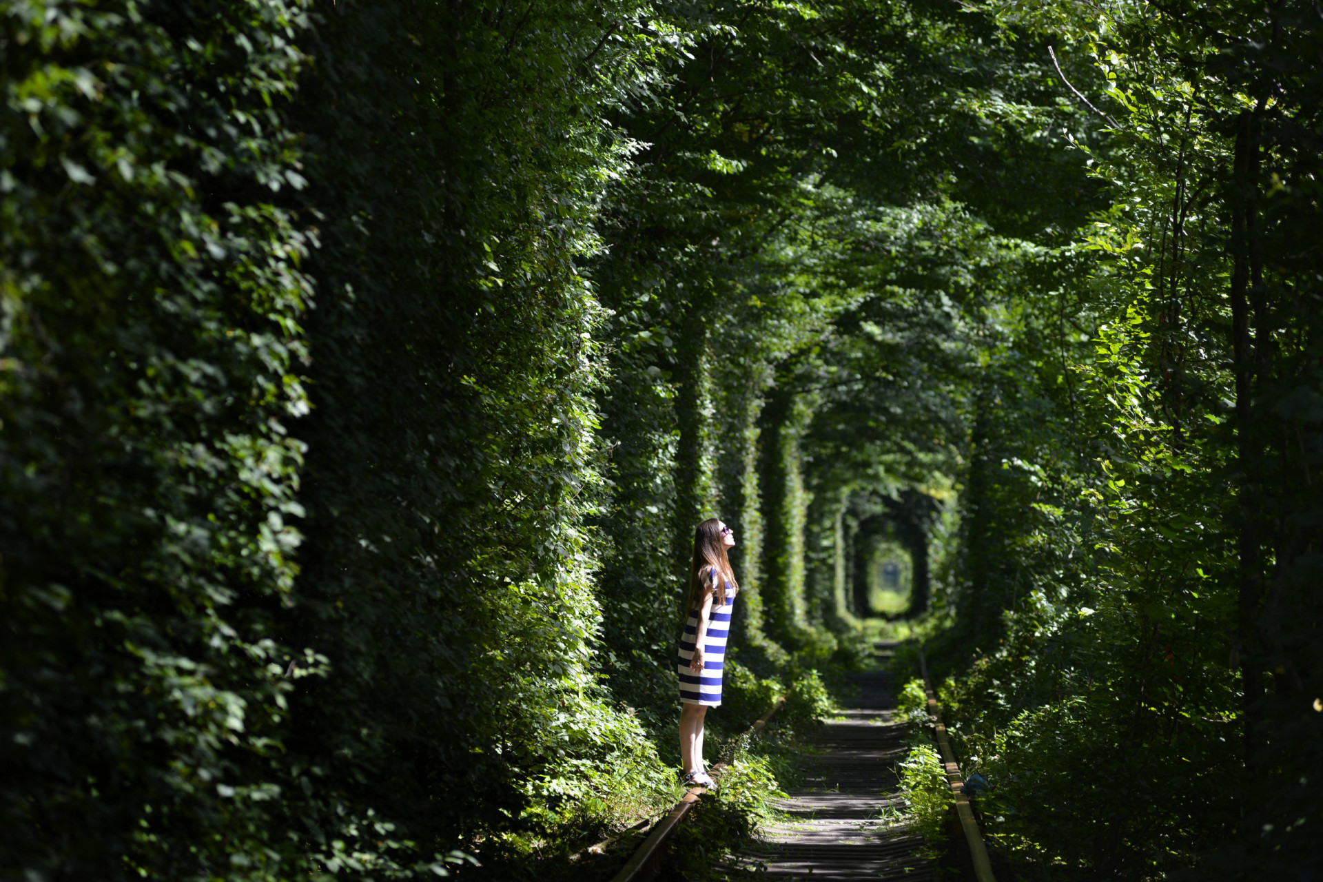 These famous natural wonders happened by accident