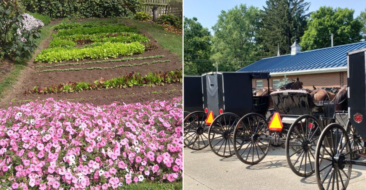 The hidden side of daily life in Ohio’s Amish country