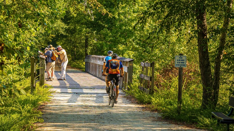 The best rail trails in North America, according to reviews