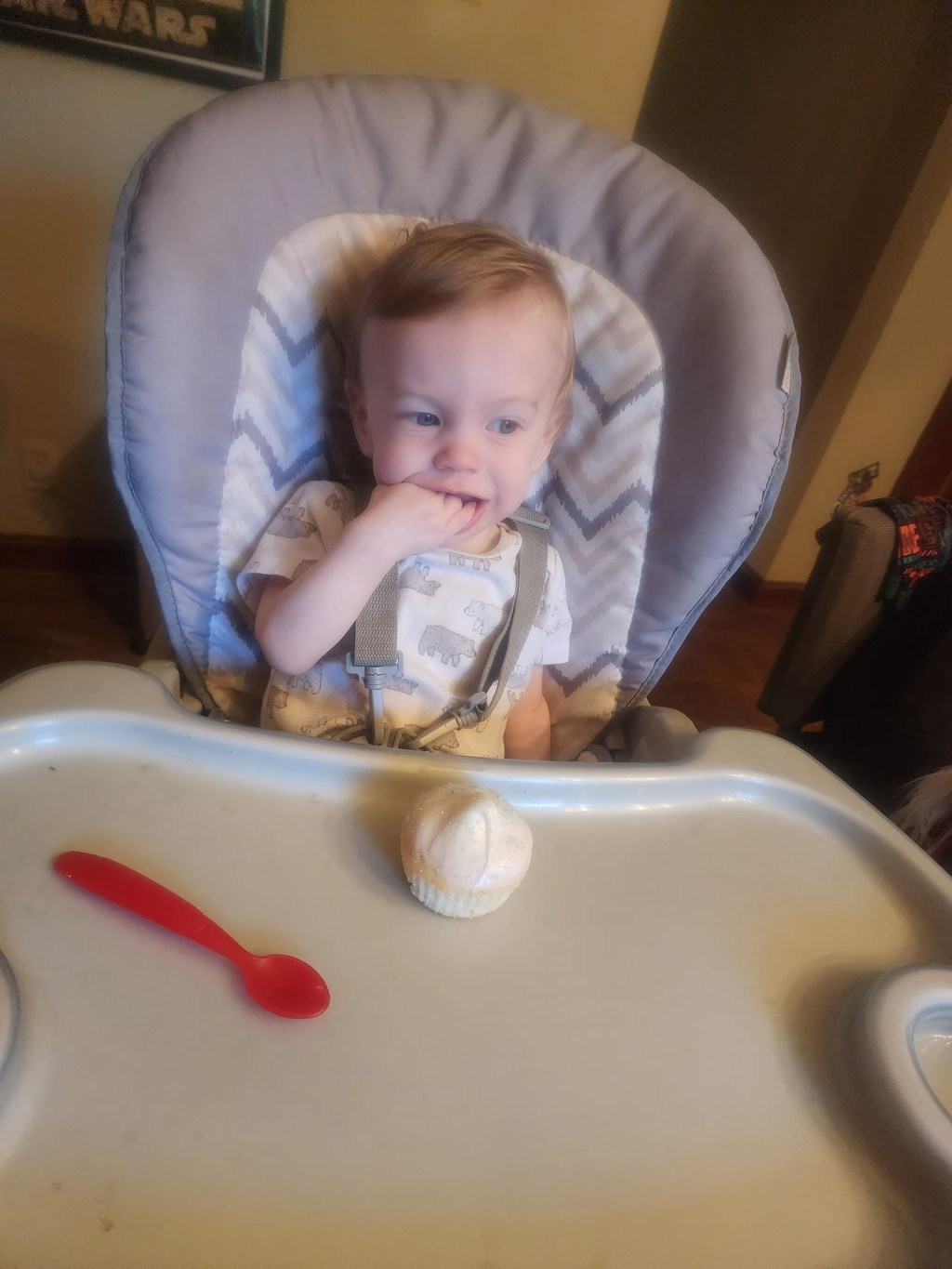 Starving tot ate diapers, drywall to survive before dying of neglect: cops