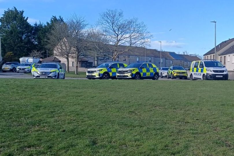 Police tape off woods in Aberdeen as emergency crews rush to scene