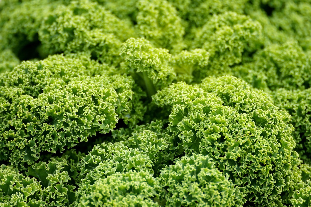 10 alimentos para reducir la presión arterial