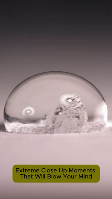 Extreme close up moments that will blow your mind