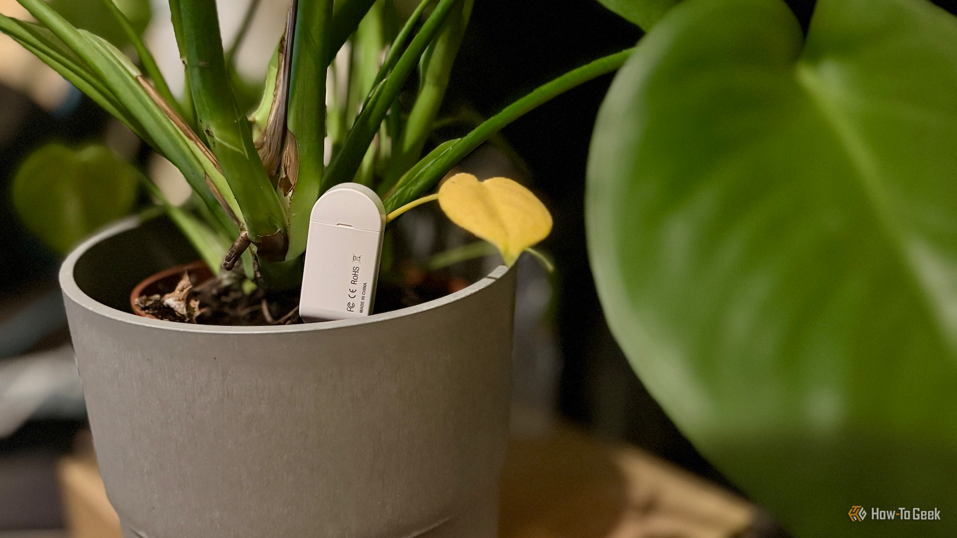 I put a moisture sensor in the wrong place and learned some awesome ...