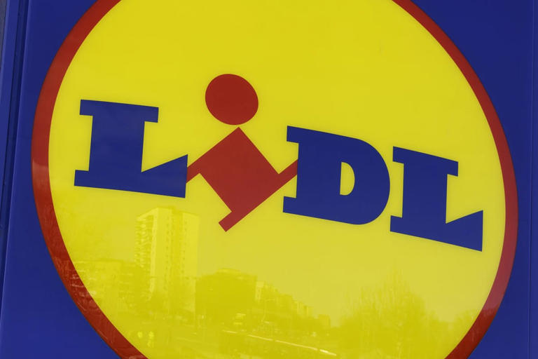 Plug-in solar panels: Lidl’s £200 launch could transform UK energy habits