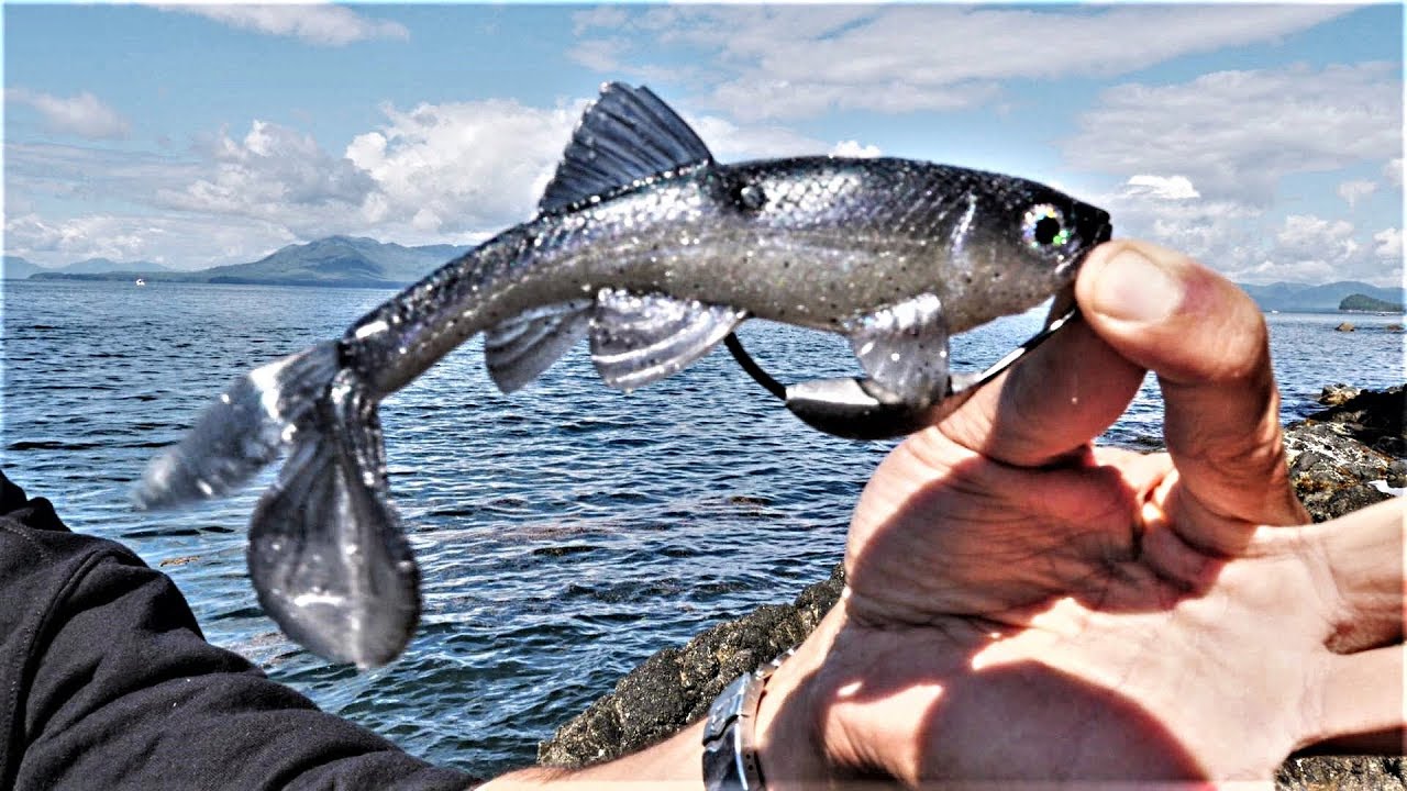 Fishing Alaska's shore alone with a swimbait