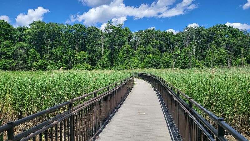 This overlooked New Jersey nature sanctuary lets you walk on boardwalks ...