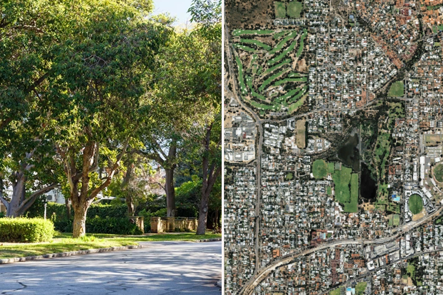 Aussie council's $240,000 plan to combat destructive pest as crisis ...