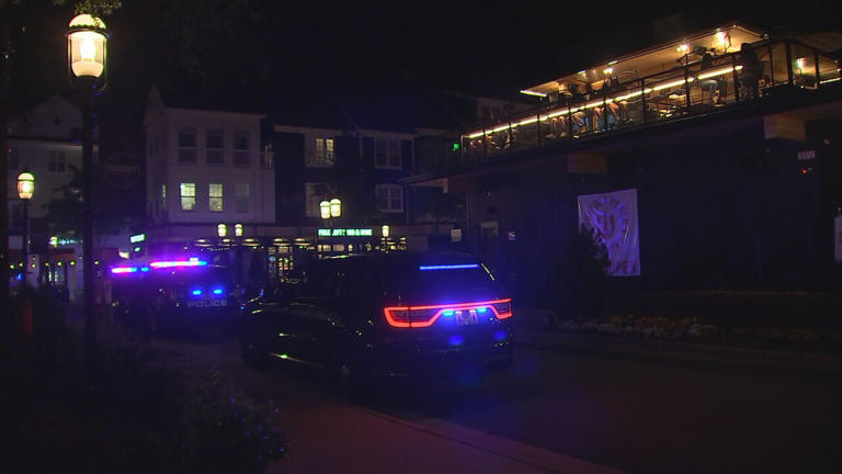 Neighbors call man 'irresponsible' for pulling out gun at Birkdale Village