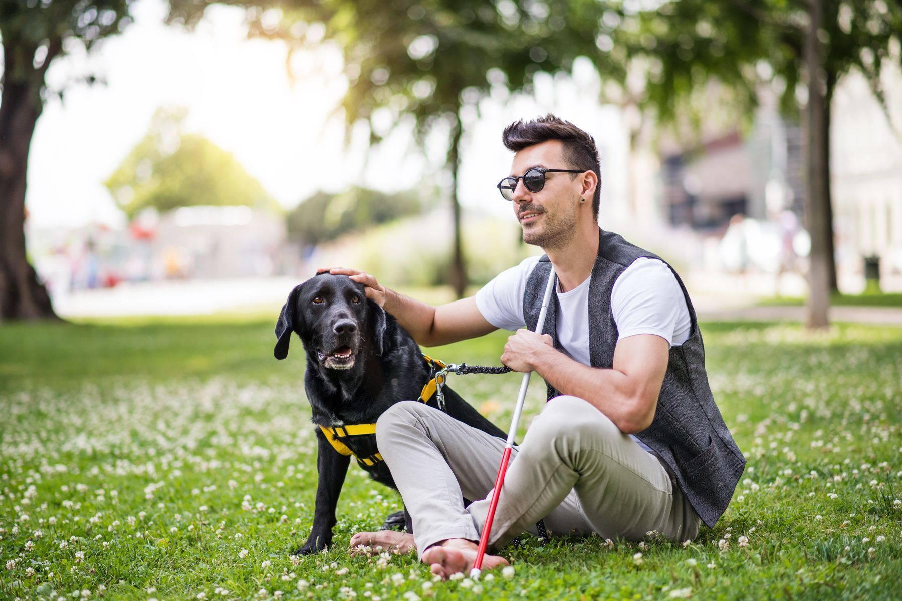 Going blind: how to live with vision loss