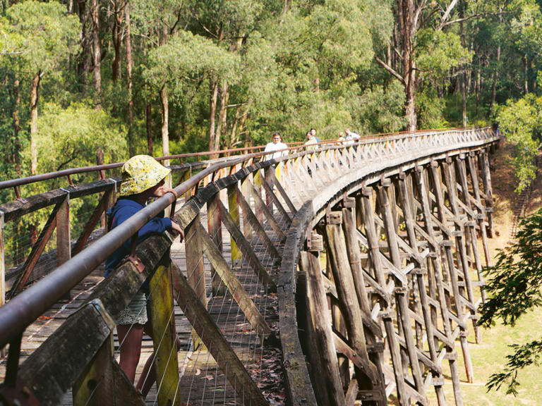 Noojee Trestle Bridge is Gippsland’s best-kept secret
