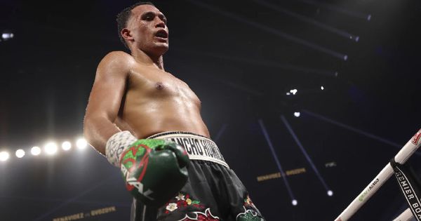 ¡El mes del boxeo! Mayo y la gran cantidad de combates que tendrá