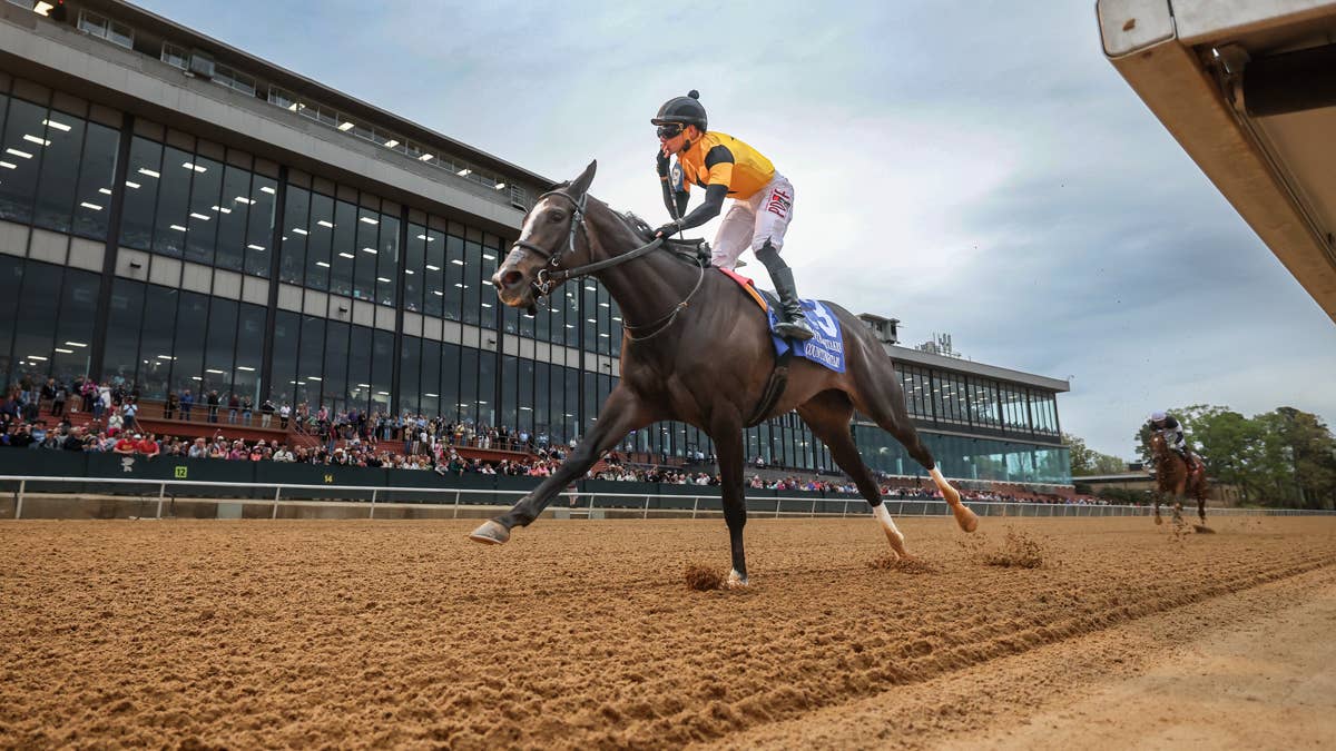 Kentucky Oaks hopefuls Counting Stars, Search Party drill at Oaklawn